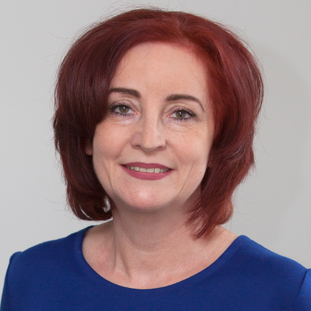 Petrographic and Mineralogical Workroom - KGHM Cuprum